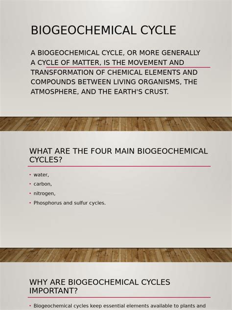 Biochemical Cycles Pdf Science And Mathematics