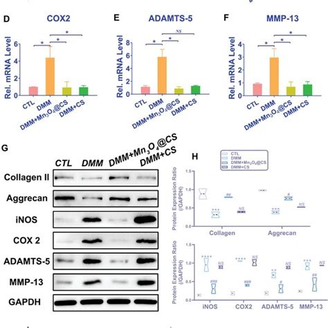 Characterization Of Synthesized Mn3o4 Nanoparticles A Schematic Of Download Scientific