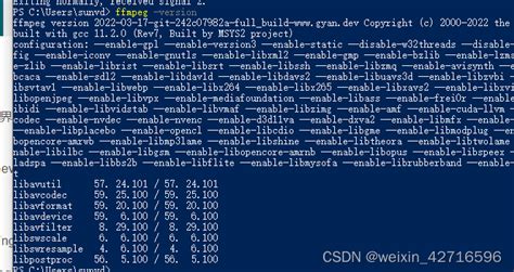 搭建视频播放服务器nginx Web服务器 Csdn博客