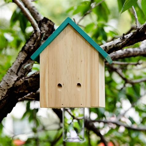 Bulk Buy China Wholesale Legend Factory Supply Bee Trap Mould