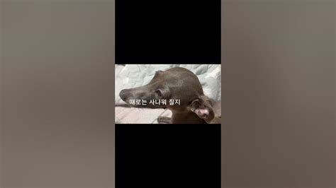 더 탐을 내지 말어 Youtube