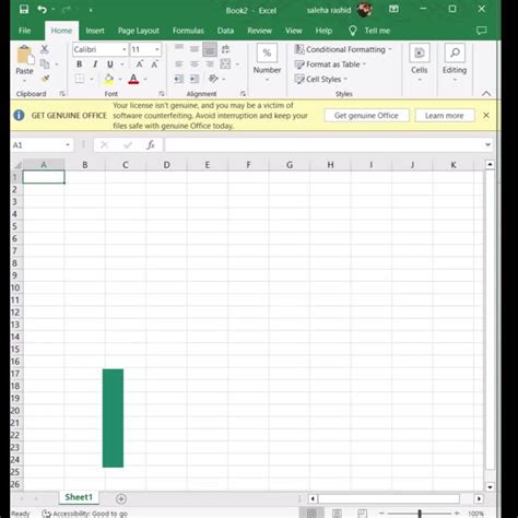 Saleha Rashid On Linkedin Excel Job Dataanalytics Dataentry Gis