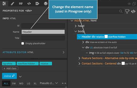 Tailwindui Pinegrow Web Editor