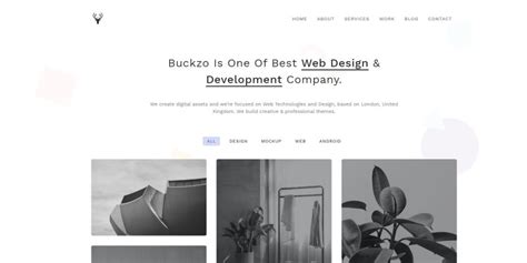 Buckzo Minimal Html Template By Myrastudio Codester