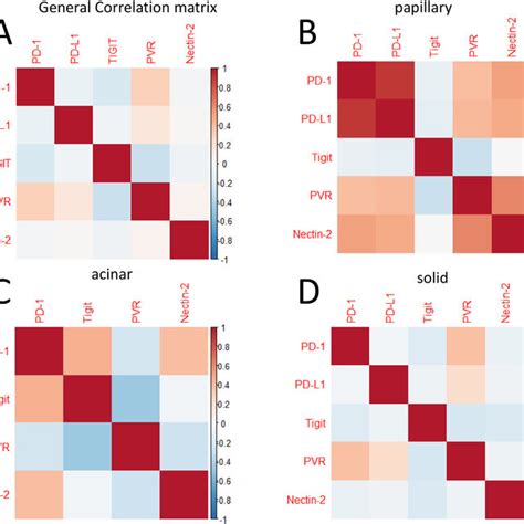 Correlation Of Protein Expression Within Different Growth Patterns A