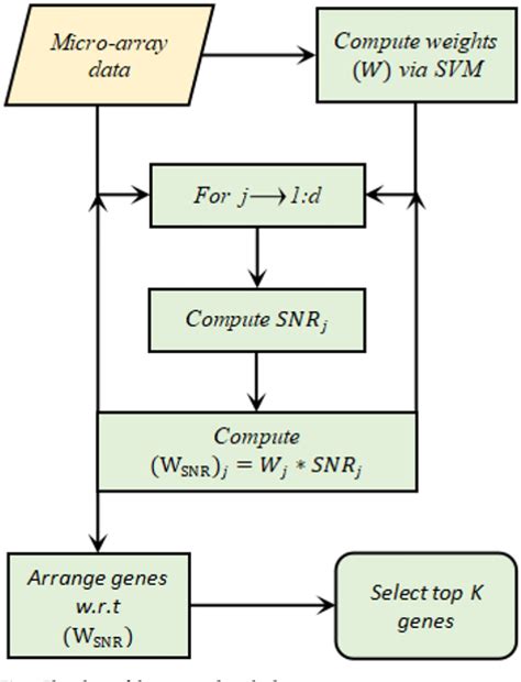 Table 1 From Feature Selection For High Dimensional Microarray Gene