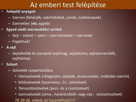 PPT Az emberi test felépítése A bőr és a mozgás szervrendszere