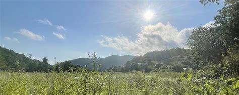 Отдых у моря Агой Если вы устали от городской суеты и хотите приятно отдохнуть в тихом уютном