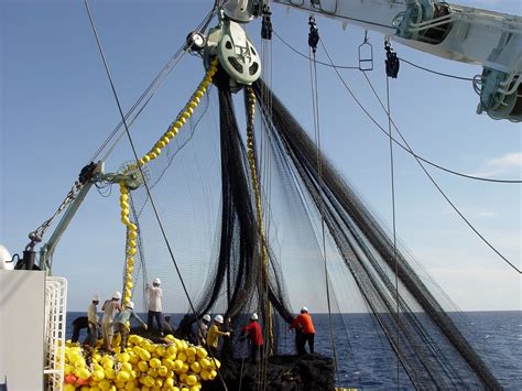 Purse Seine Net King Chou Professional Netting Manufacturers King Chou Marine Technology Co