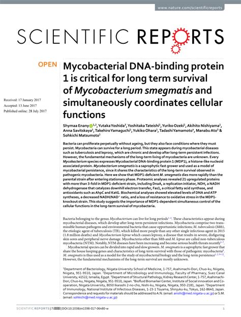 Pdf Mycobacterial Dna Binding Protein 1 Is Critical For Long Term Survival Of Mycobacterium