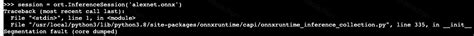 Got Segmentation Fault Error When Using Inferencesession Api · Issue