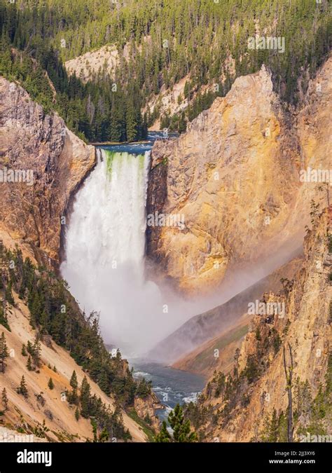 Lower Falls Of The Yellowstone In Yellowstone National Park At Wyoming