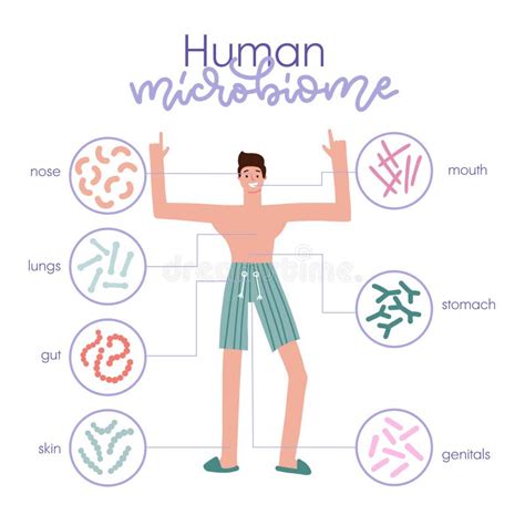 Different Types Of Human Microbiome Infographic With A Man Character