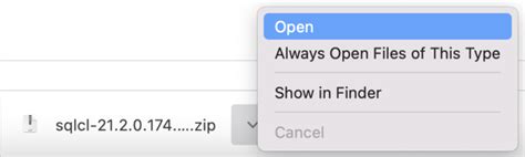 How To Install SQLcl On A Mac