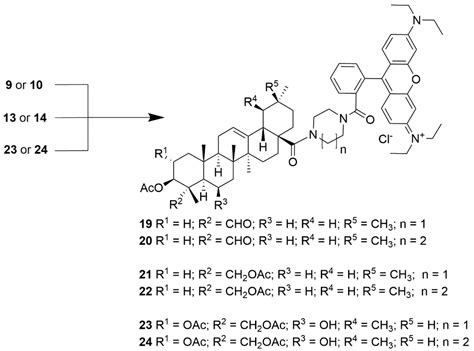 IJMS | Free Full-Text | Madecassic Acid—A New Scaffold for Highly ...