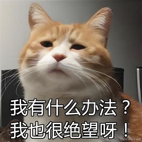 基于 Spring Boot 的毕业设计怎么写开题报告？10 套免费模板 项目代码示例全收录springboot项目 开题报告 Csdn博客