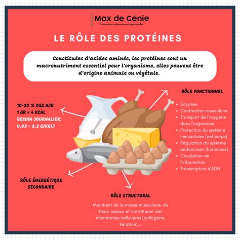 La Complémentarité Des Protéines Comment Combiner Les Protéines