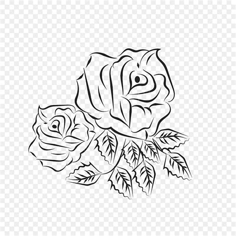 Rose Drawing Vector At Bryan Polley Blog