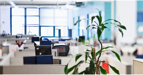 De Quelle Manière Puis Je Modifier Les Données De Mon Entreprise