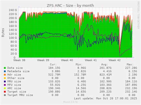 Zfs Arcstats Size Munin Infrastructure Storage Zfs Arcstats Size