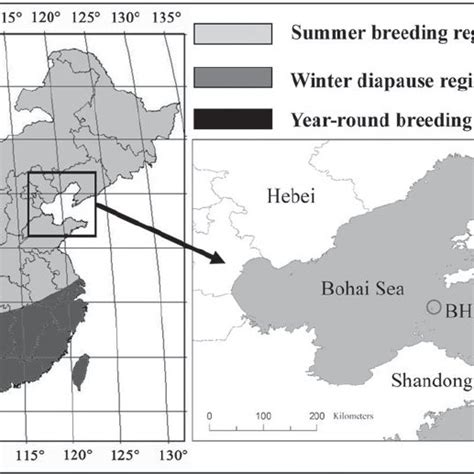 Pdf Seasonal Migration Of Cnaphalocrocis Medinalis Lepidoptera