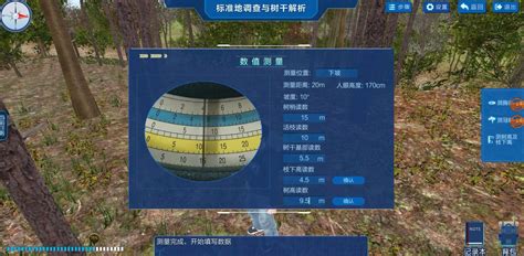 实验详情