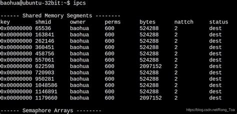 linux四种共享内存技术（附源码）：systemv、posix mmap、memfd create、dma buf posix dma csdn博客