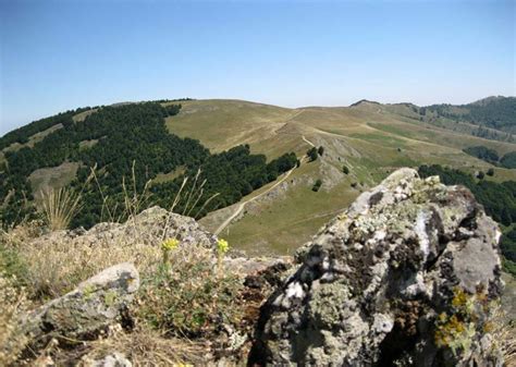 Скопска Црна Гора планина со поглед на цело Скопје Шумарите