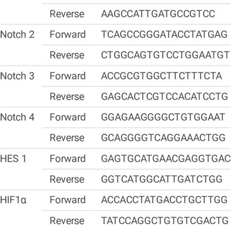 Primer Sequences For Real Time Polymerase Chain Reaction Rt Pcr