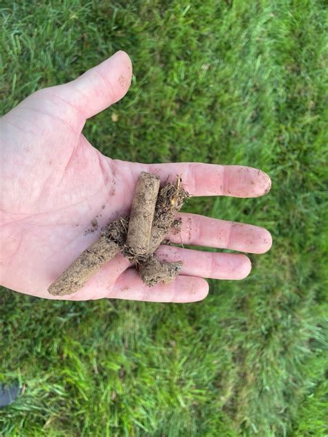 Aeration And Seeding · Green Image Lawn Care