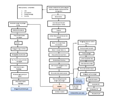 Woc Nstemi Pdf