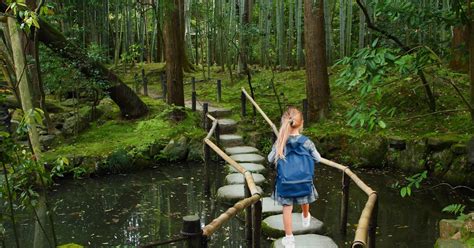 Solving Problems With Algorithms Assessment Science And Au