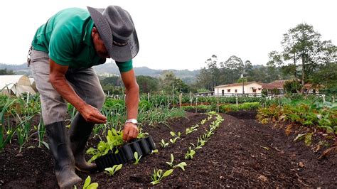 Importancia de la Agricultura Orgánica TvAgro por Juan Gonzalo Angel