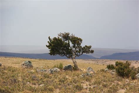 Reserva Nacional Pampa Galeras Bárbara DAchille