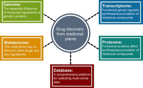 Frontiers Integration Of High Throughput Omics Technologies In Medicinal Plant Research The
