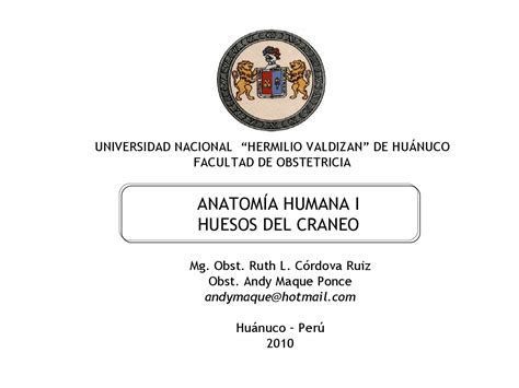 Anatomía Del Cráneo Frontal Etmoides Y Esfenoides Apuntes De