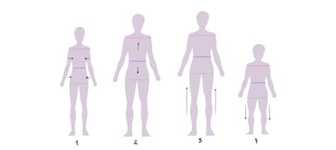 Cartoon Fundamentals How To Draw The Female Form Envato Tuts