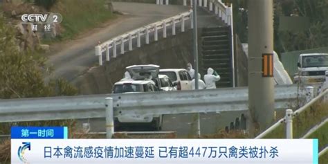 日本禽流感超447万只禽类被扑杀！“鸡蛋荒”恐卷土重来 日本频道 人民网