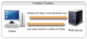 Cookies In Asp Net Pashupatinath V Mishra