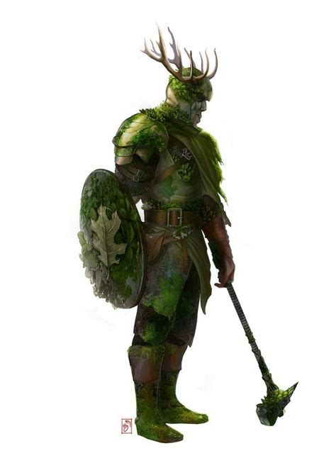 Humano Paladino De Silvanus Dungeons And Dragons Characters