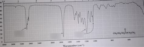 Ester Diagram Quizlet