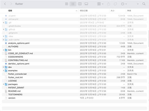 macOS 上安装和配置 Flutter 开发环境 reyzhang 博客园