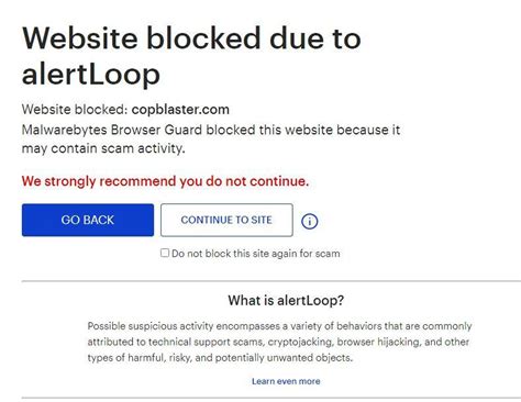 false positive for scam activity chrome malwarebytes forums