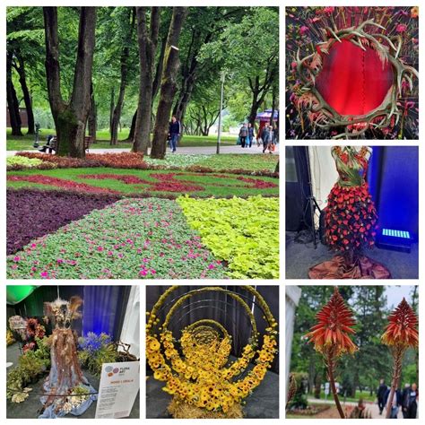 Maja Caric On Linkedin Flora Floraart Zagreb Photo View Flowers