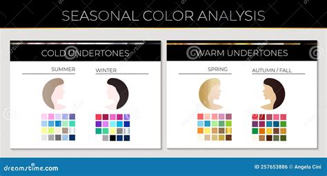 Elegant Seasonal Skin Color Analysis Illustration With Color Swatches And Women Page Stock
