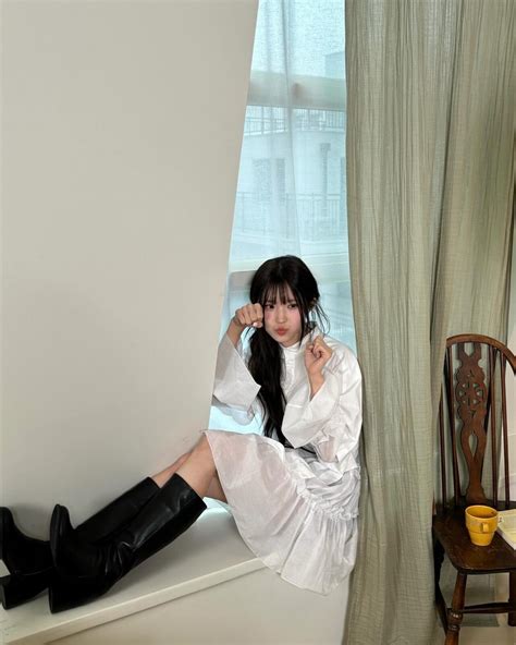 나도 고양이 연예인잡담 에펨코리아