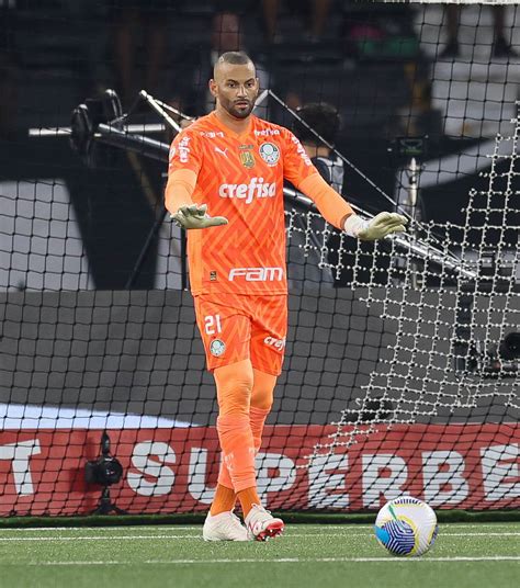 Weverton Manda Recado Para A Torcida Do Palmeiras
