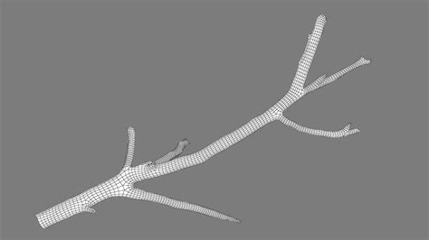 3d twig scanned 27 turbosquid 2088512