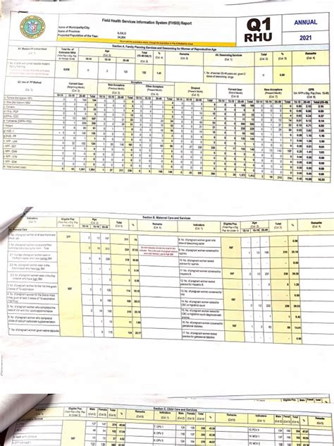 Fhsis Report Pdf