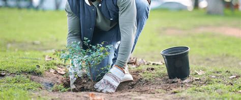 Mccs Buffer Stress Through Volunteering